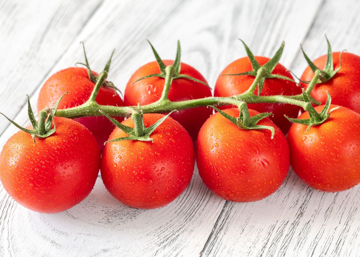 'Ripe tomato branch' Poster by Oleksandr Prokopenko | Displate