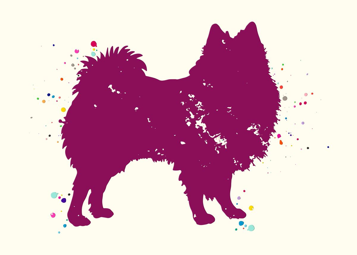 'American Eskimo Dog ' Poster, picture, metal print, paint by Dutton Jerrell | Displate