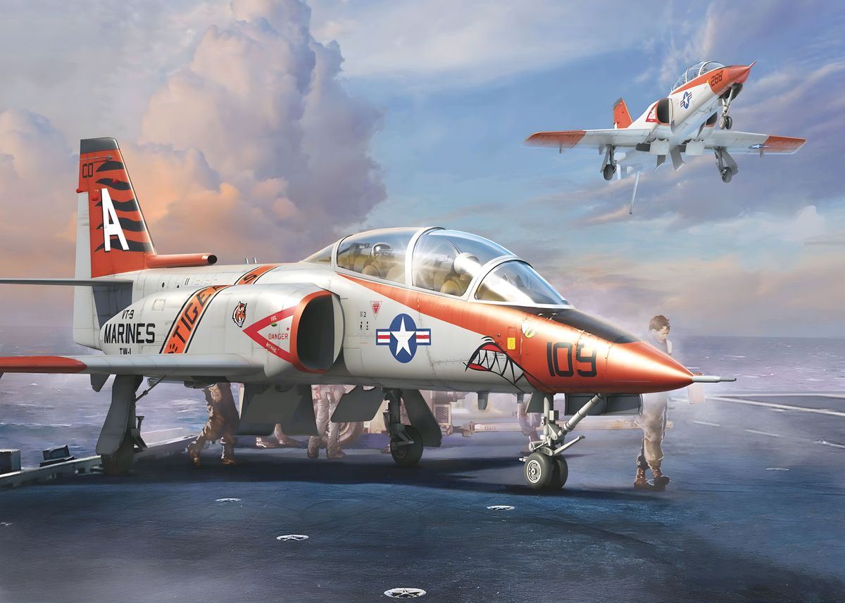 'McDonnell Douglas T45' Poster, picture, metal print, paint by Horror ...