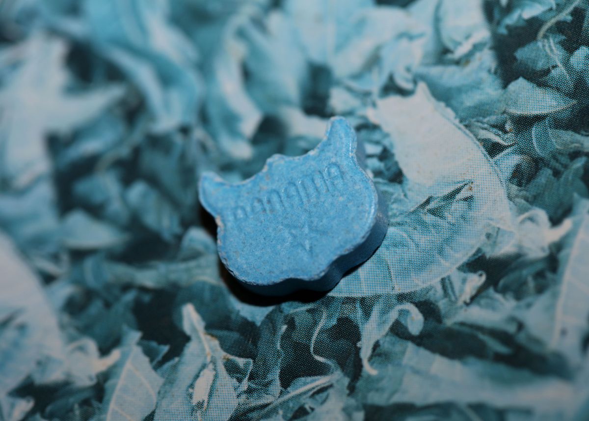 'Blue ecstasy owl pills' Poster, picture, metal print, paint by ...