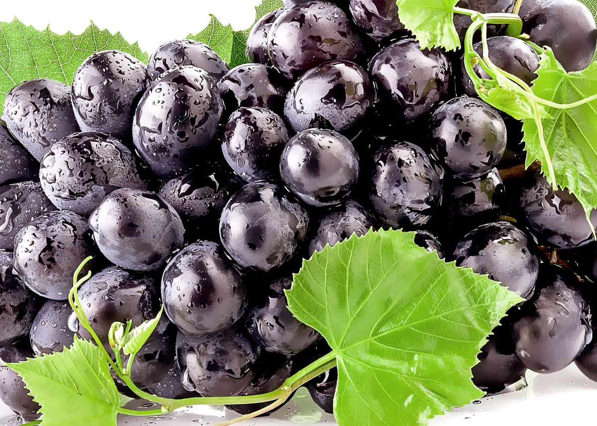 'organic fruits' Poster, picture, metal print, paint by Slamet Riyadi ...