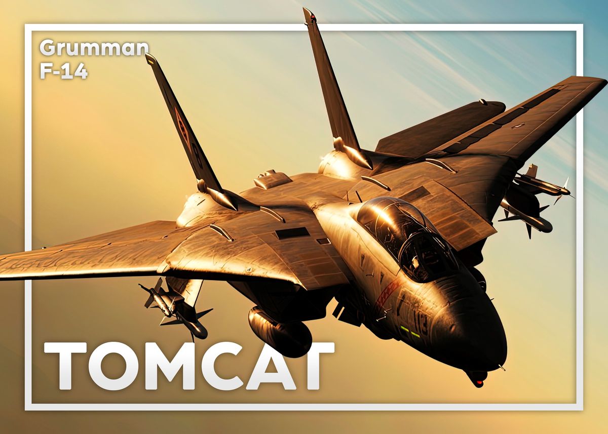 'F14 Tomcat' Poster, picture, metal print, paint by AirCraft Lover ...