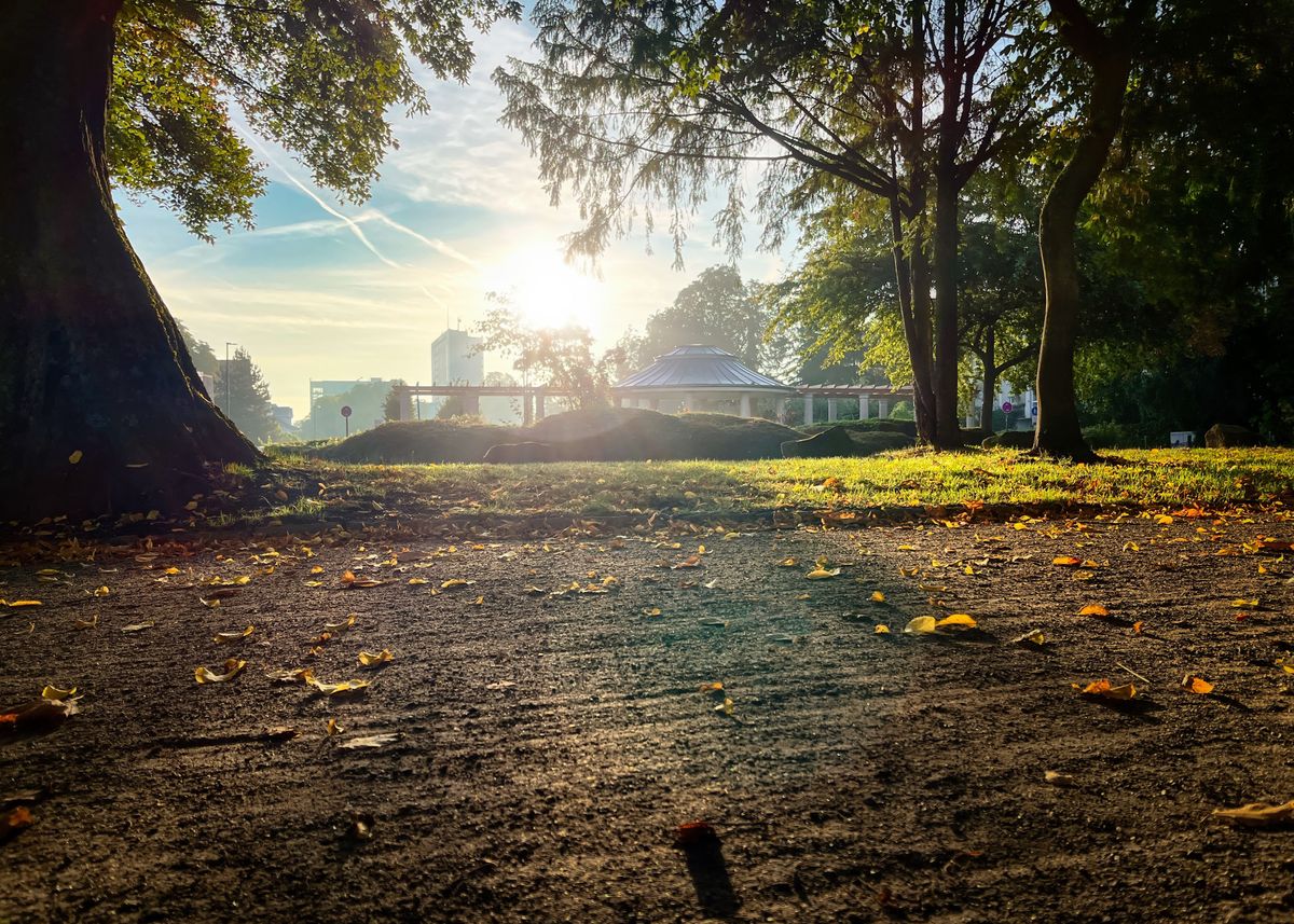 'Autumn Sunrise in Hamm' Poster, picture, metal print, paint by ...
