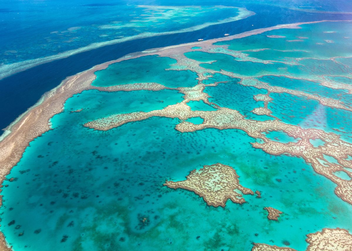 'Great Barrier Reef River' Poster, picture, metal print, paint by ...