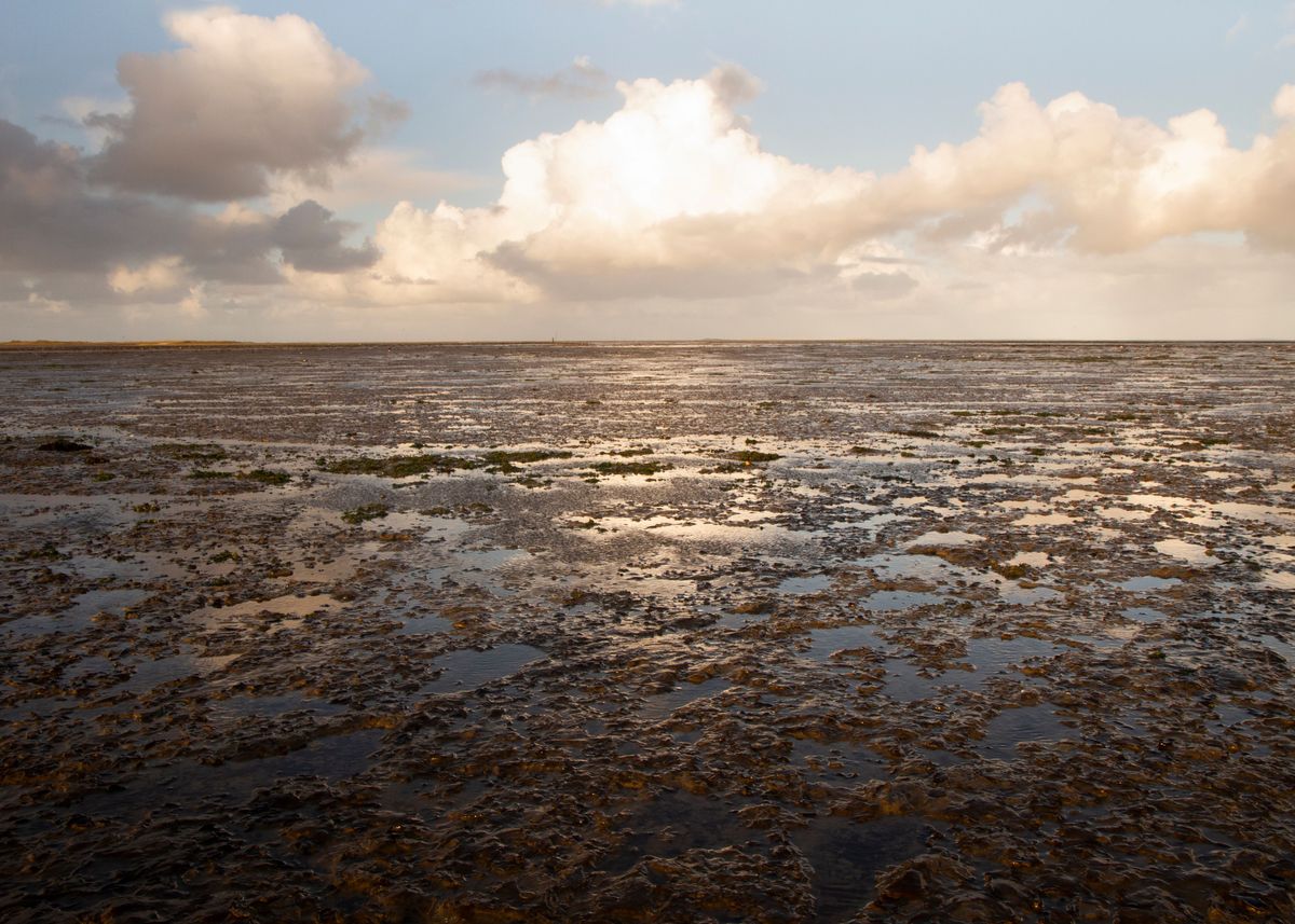 'Path to the beach cloudy' Poster by Suzanne de Jong | Displate