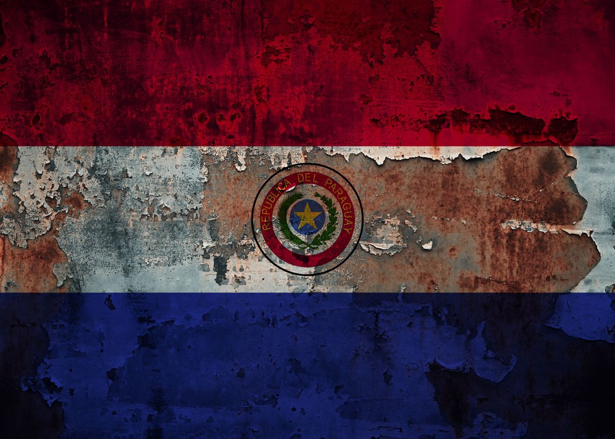 'Paraguay' Poster, picture, metal print, paint by Eli Cassin | Displate