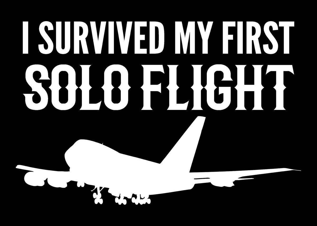 'First Solo Flight Copilot ' Poster, picture, metal print, paint by ...