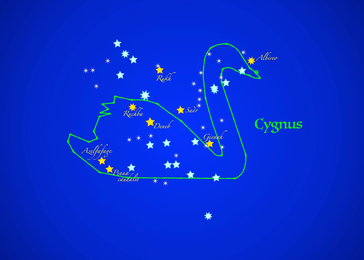 'Constellation CYGNUS' Poster, picture, metal print, paint by Elisabeth ...
