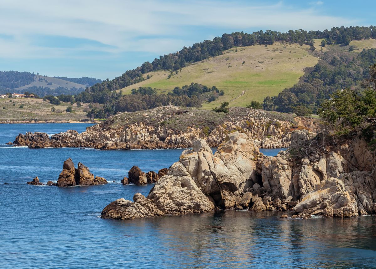 'Point Lobos' Poster, picture, metal print, paint by Jonathan Nguyen ...