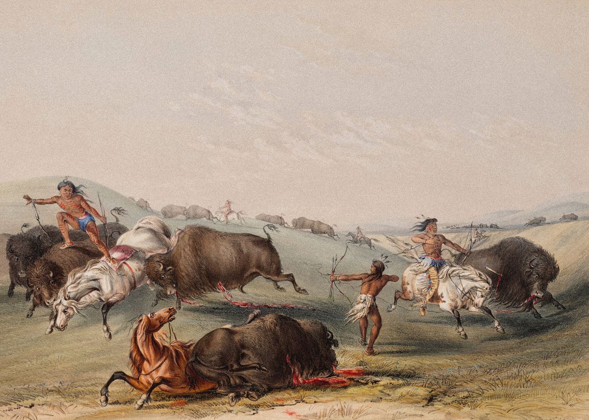 'Indians Hunting Buffalo' Poster, picture, metal print, paint by ...