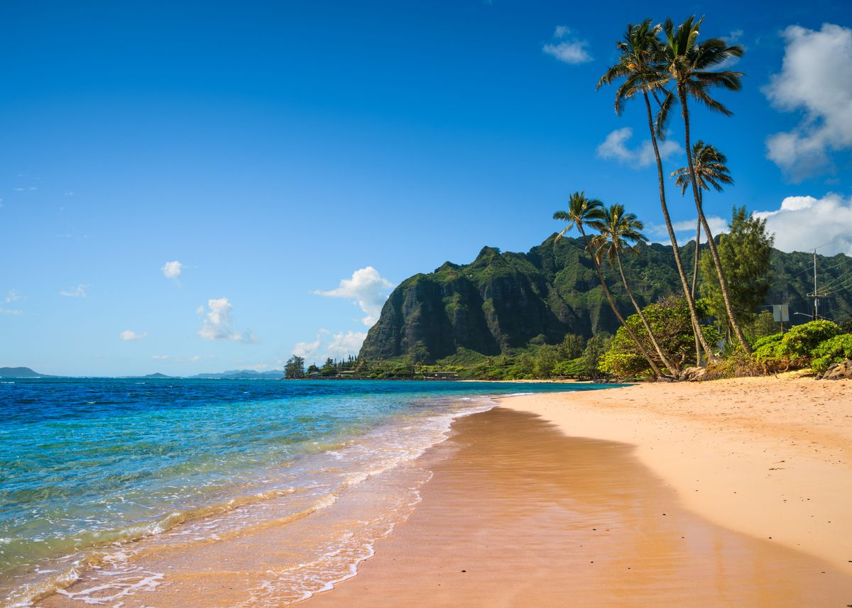 'Sandy beach in Oahu Hawaii' Poster, picture, metal print, paint by ...