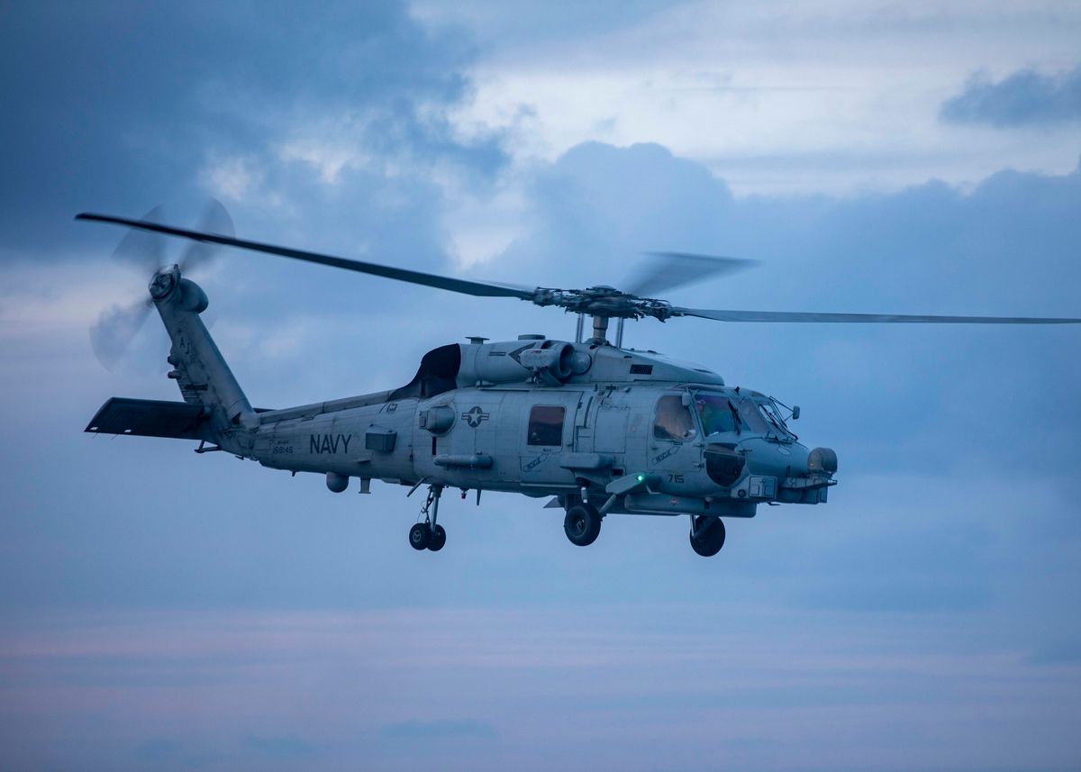 'Sea Hawk in flight' Poster, picture, metal print, paint by Sam Brady ...