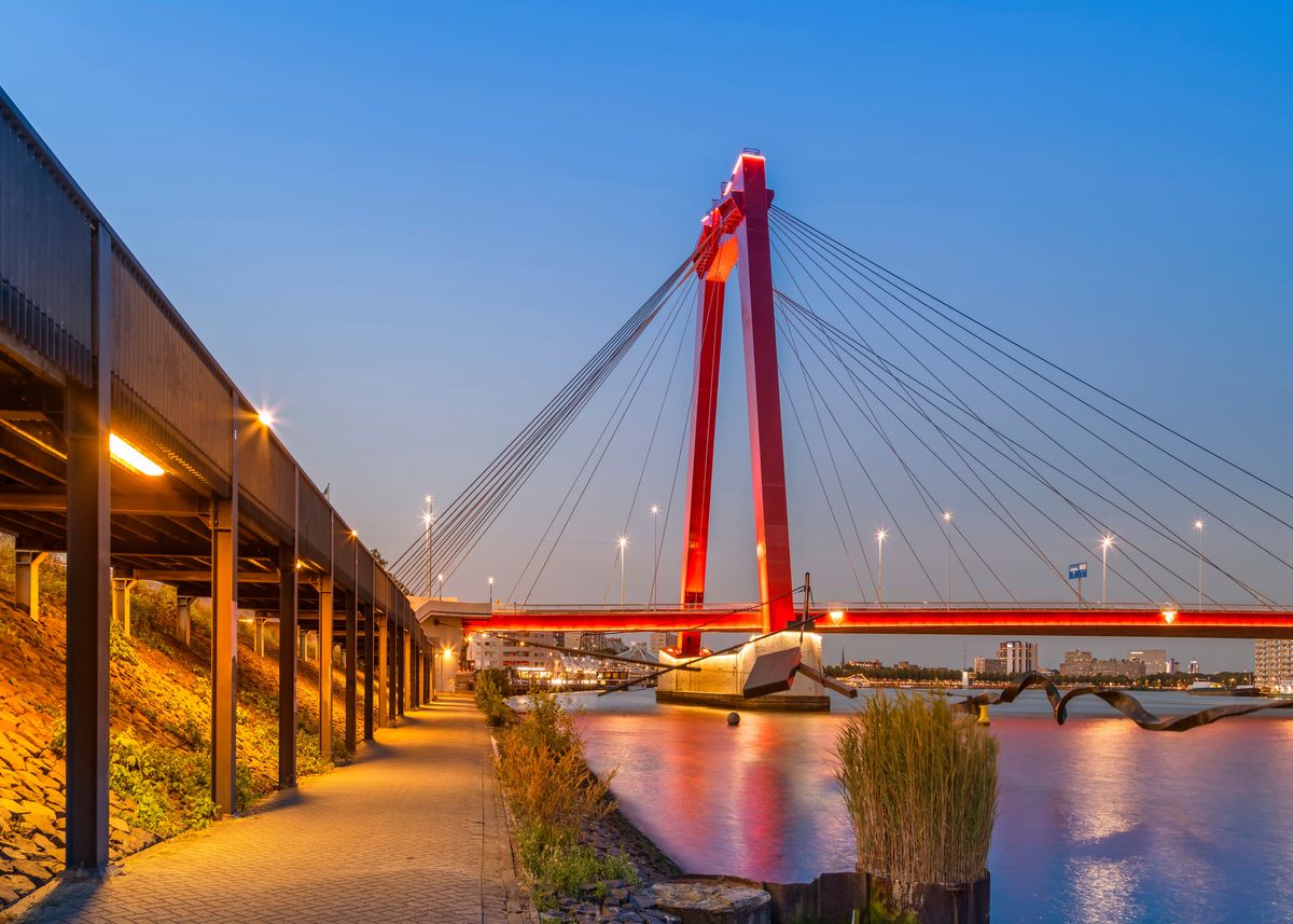 'ROTTERDAM Willemsbrug ' Poster, picture, metal print, paint by Melanie ...