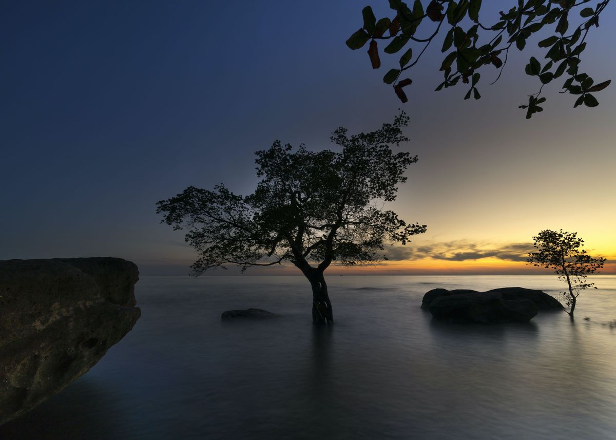 'Sunset with tree in ocean' Poster, picture, metal print, paint by ...