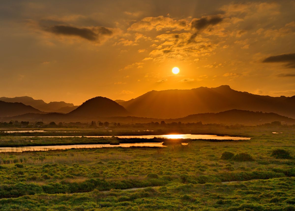 'Sunset' Poster, picture, metal print, paint by David Campling | Displate