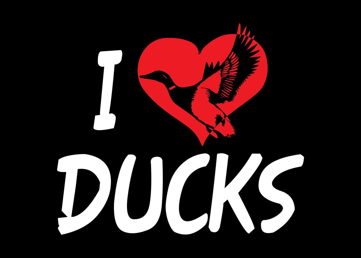 'Duck Love Duckling Heart' Poster by DesignatedDesigner | Displate