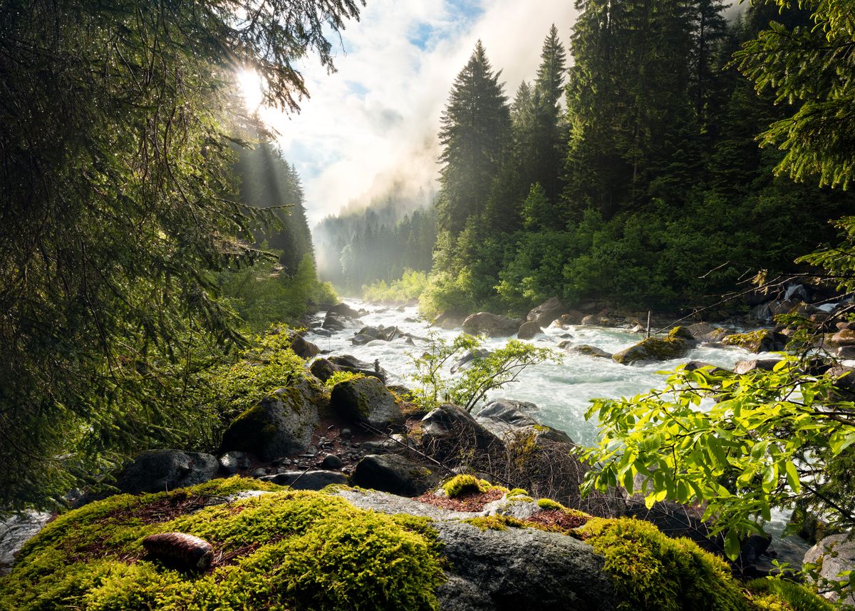 'Spring Break' Poster, picture, metal print, paint by World Class ...