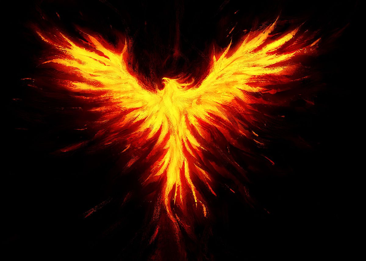 'Fire Bird Phoenix Legend' Poster by Dany | Displate