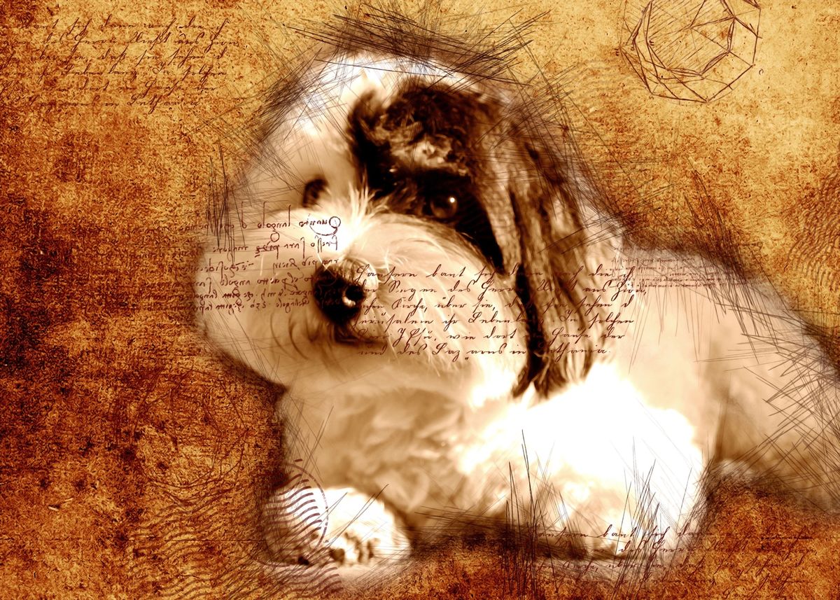 'Dog 07' Poster, picture, metal print, paint by Alejandro Lopez | Displate