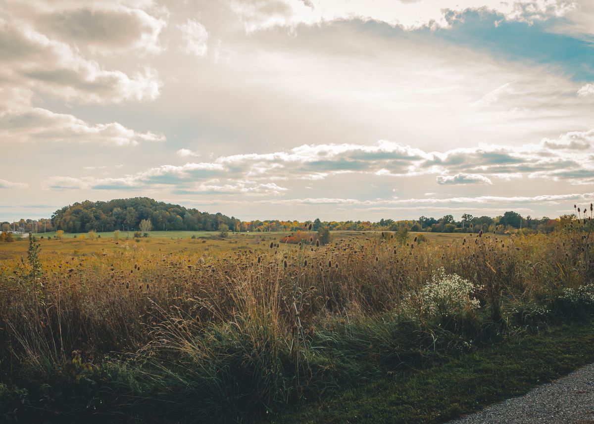 'Golden Hour on an Autumn M' Poster, picture, metal print, paint by ...
