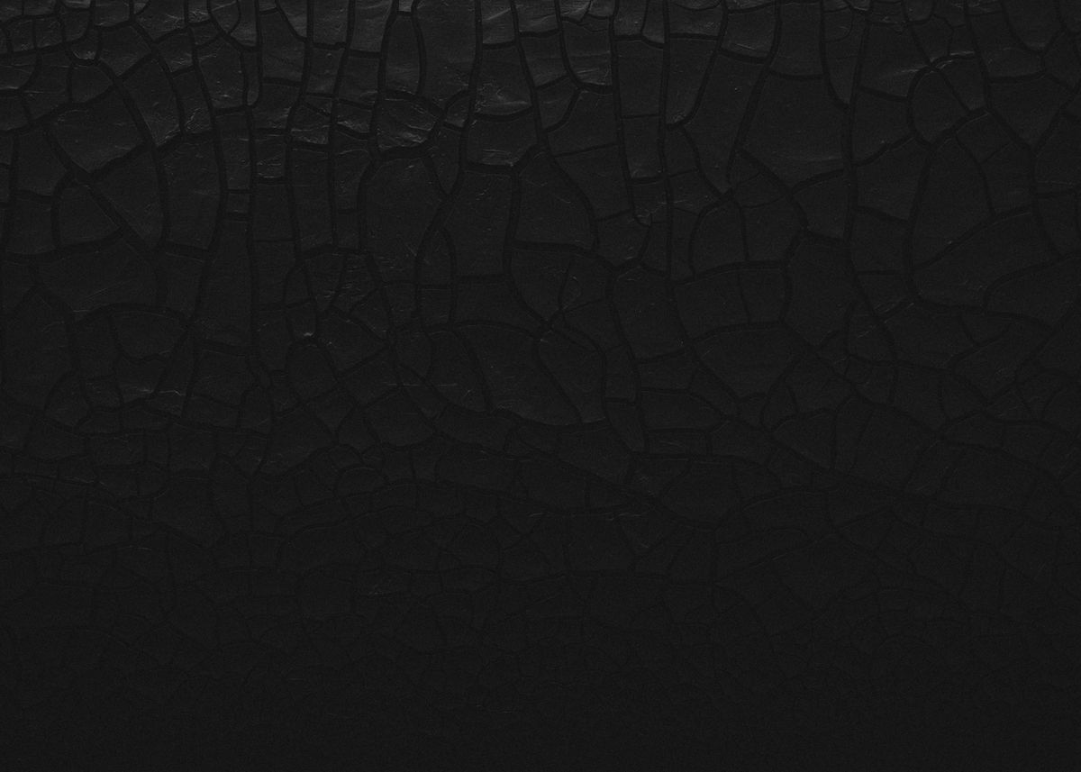 'Black Texture' Poster, picture, metal print, paint by chacha chella ...