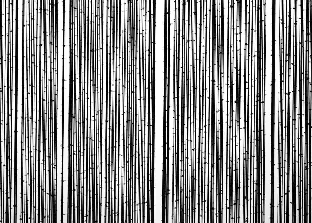 'Striped Pattern Texture' Poster by chacha chella | Displate