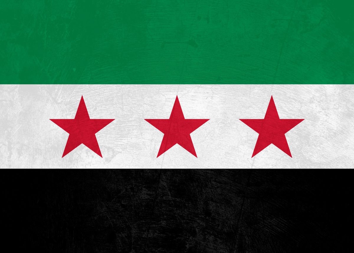 'Alternate Flag of Syria' Poster, picture, metal print, paint by ...