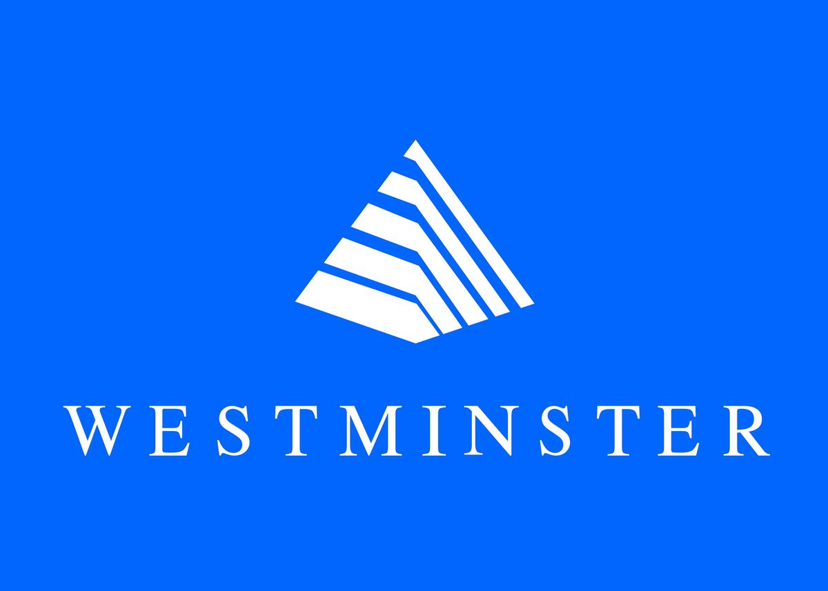 'Flag Of Westminster City' Poster, picture, metal print, paint by ...