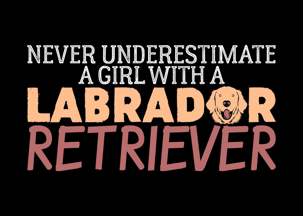 'Labrador Girl Joke Doggo' Poster, picture, metal print, paint by ...