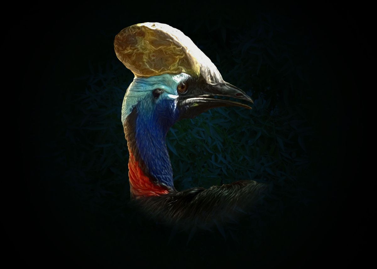 'Southern cassowary' Poster, picture, metal print, paint by Gyula ...