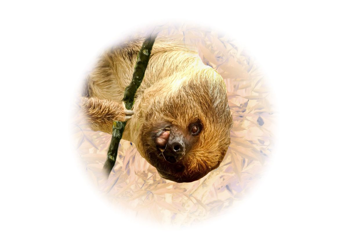 'Sloth' Poster by Gyula Gvardián | Displate