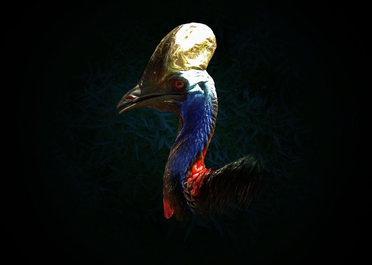 'Southern cassowary' Poster, picture, metal print, paint by Gyula ...