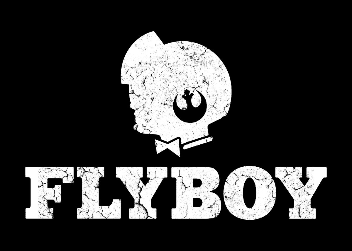 'flyboy' Poster, picture, metal print, paint by Berthamoore | Displate