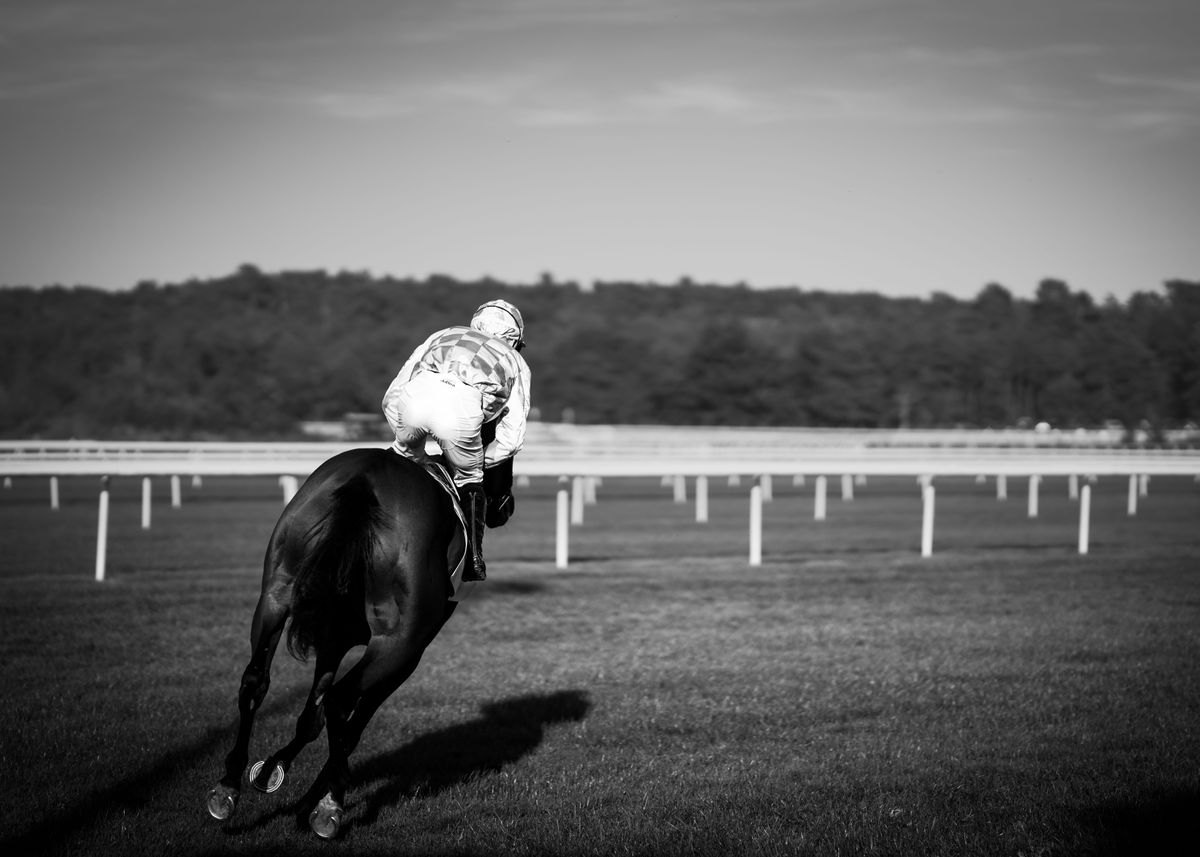 'horse ridding ' Poster, picture, metal print, paint by nicolas ...