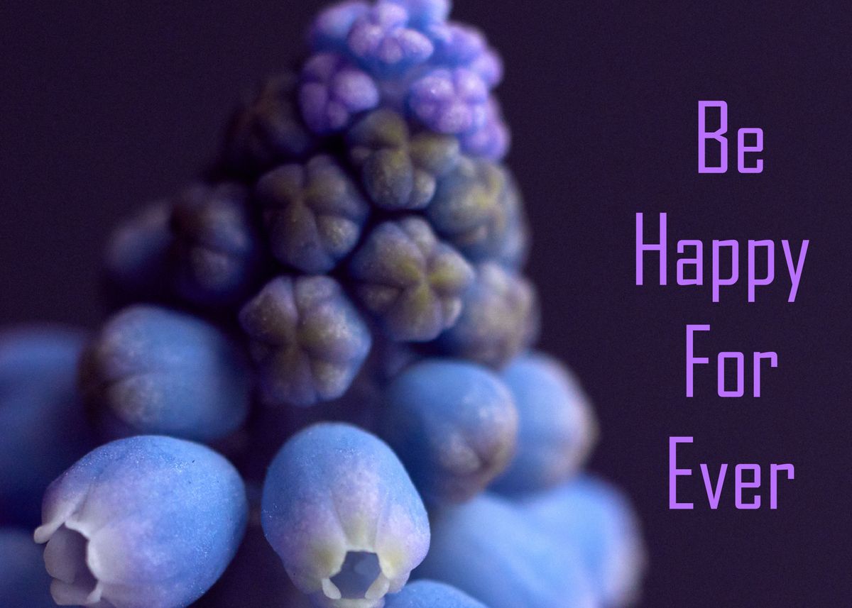 'hyacinth be happy forever' Poster, picture, metal print, paint by The ...