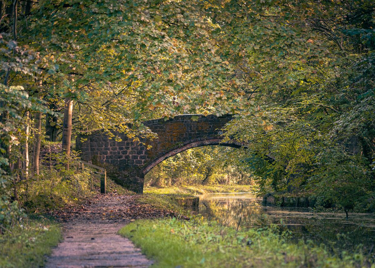 'The Old Canal Bridge' Poster, picture, metal print, paint by Nathan ...