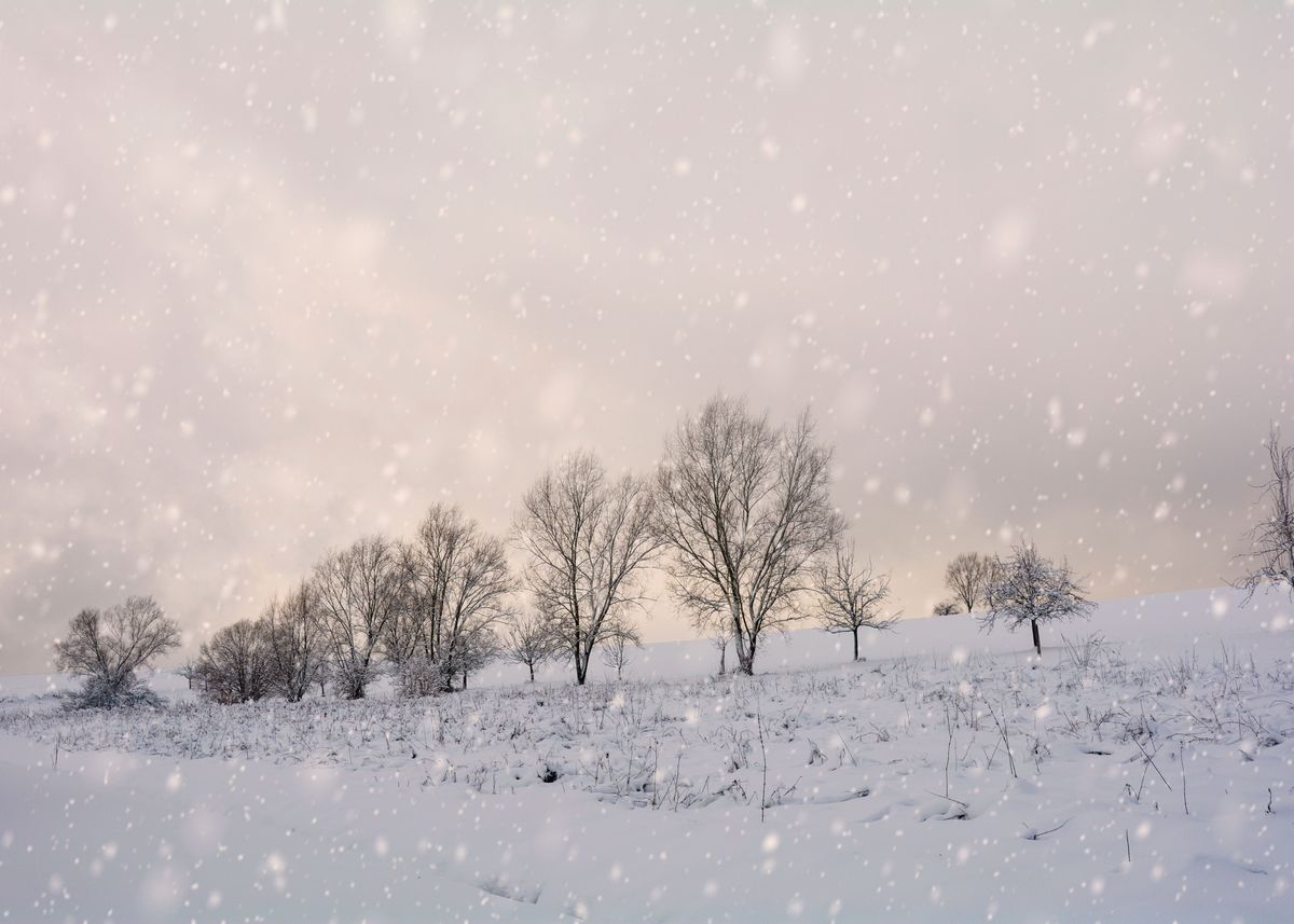 'Its snowing' Poster, picture, metal print, paint by Claudia Evans ...
