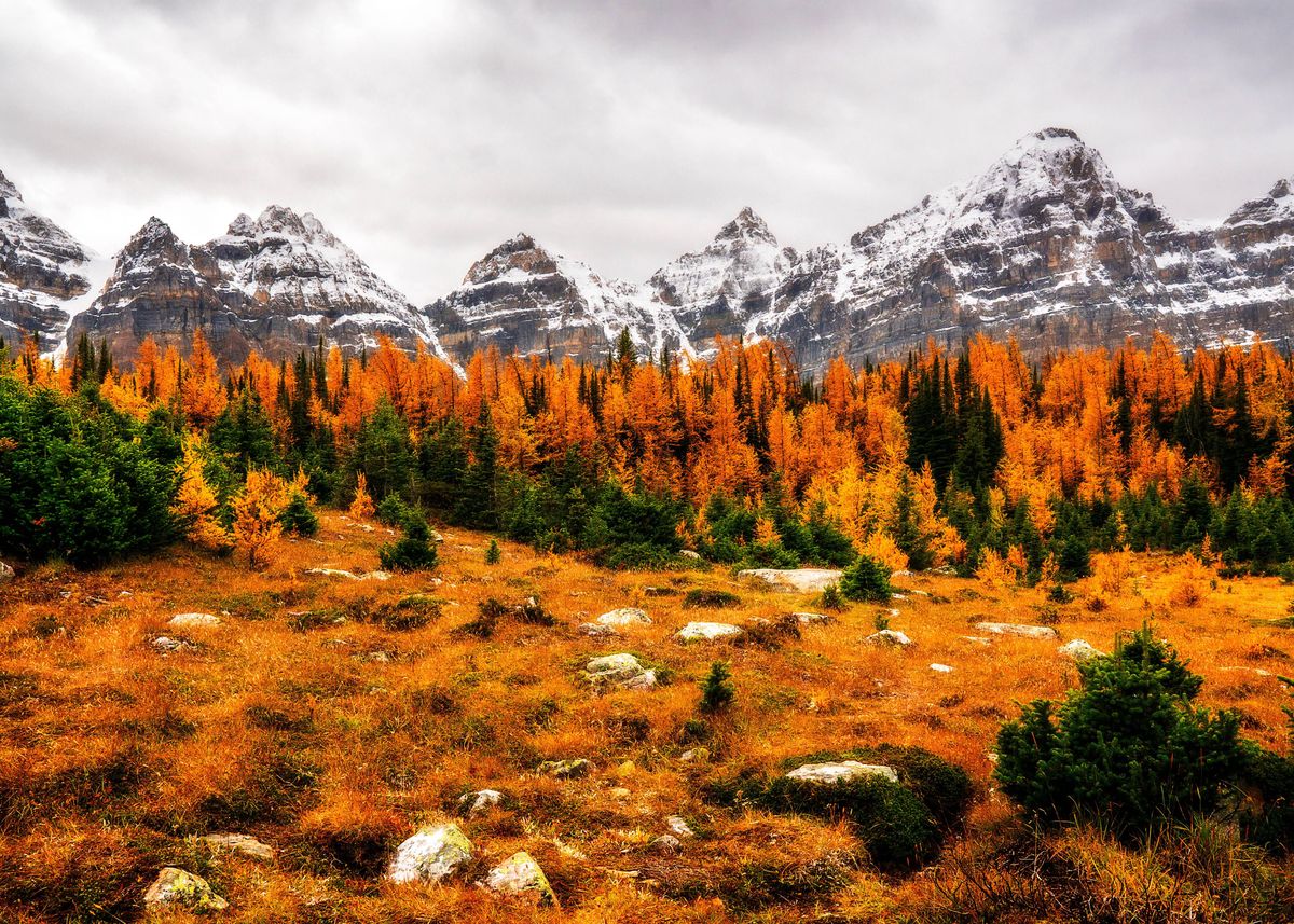 'Ten peaks valley autumn ' Poster by BURRY Nature Photos | Displate