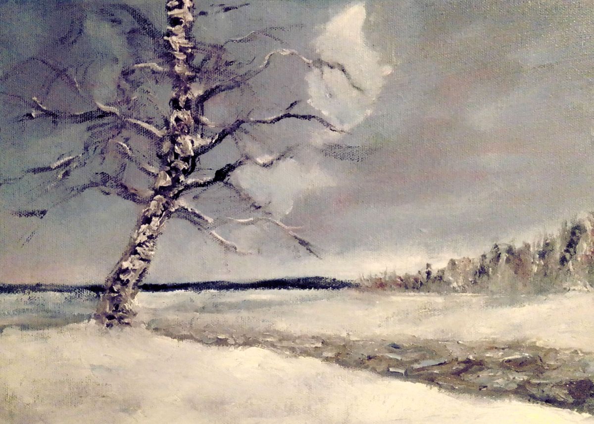 'Birch in winter' Poster, picture, metal print, paint by Vixi | Displate