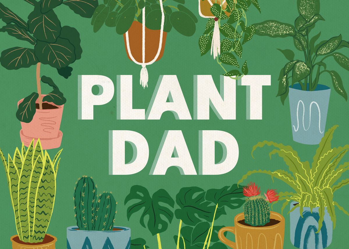 'Plant Dad' Poster, picture, metal print, paint by American Vintage ...