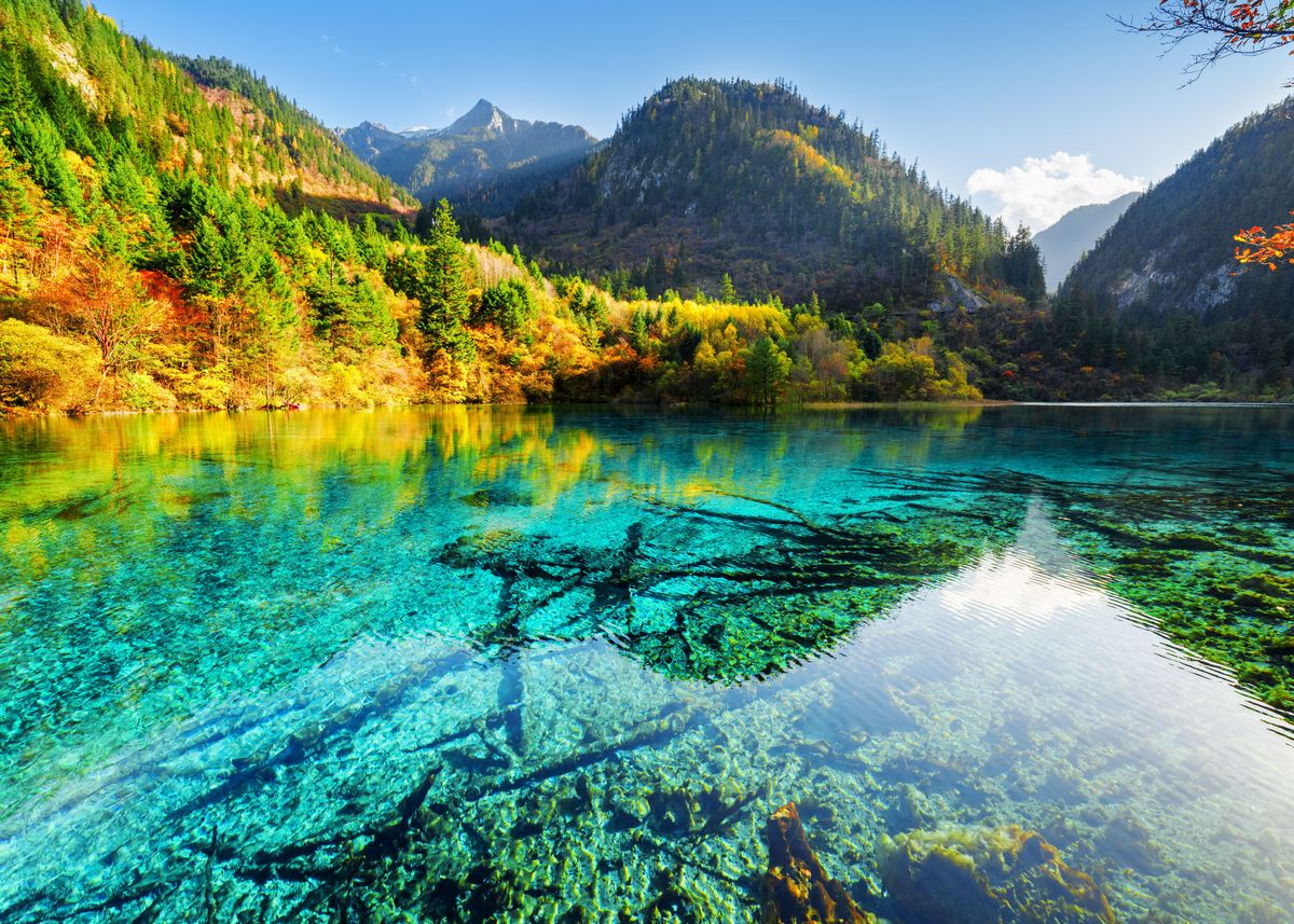 'Five Flower Lake China' Poster, picture, metal print, paint by BURRY ...