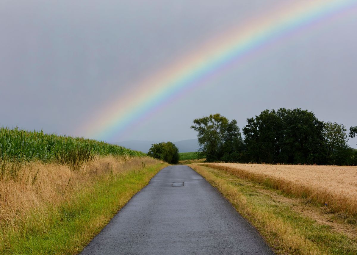 'The Rainbow ' Poster, picture, metal print, paint by Claudia Evans ...