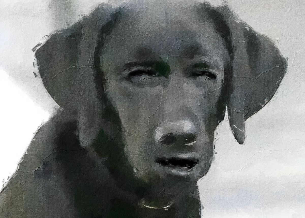 'What the dog meme' Poster, picture, metal print, paint by Meme Daily ...