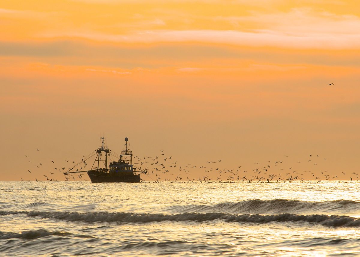 'Sunset fishing boat' Poster, picture, metal print, paint by Jens De ...