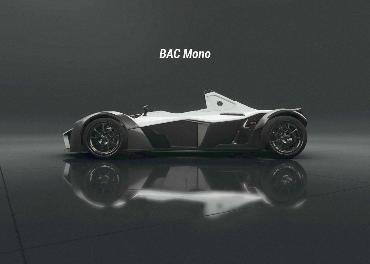 'BAC Mono' Poster, picture, metal print, paint by One Line Artist ...