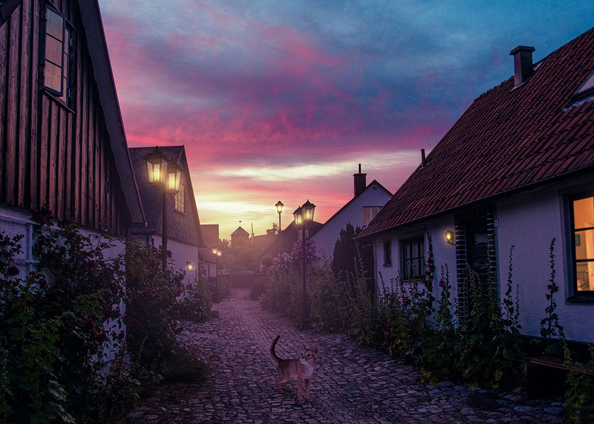 'Calm Street' Poster, picture, metal print, paint by Ozan Psd | Displate
