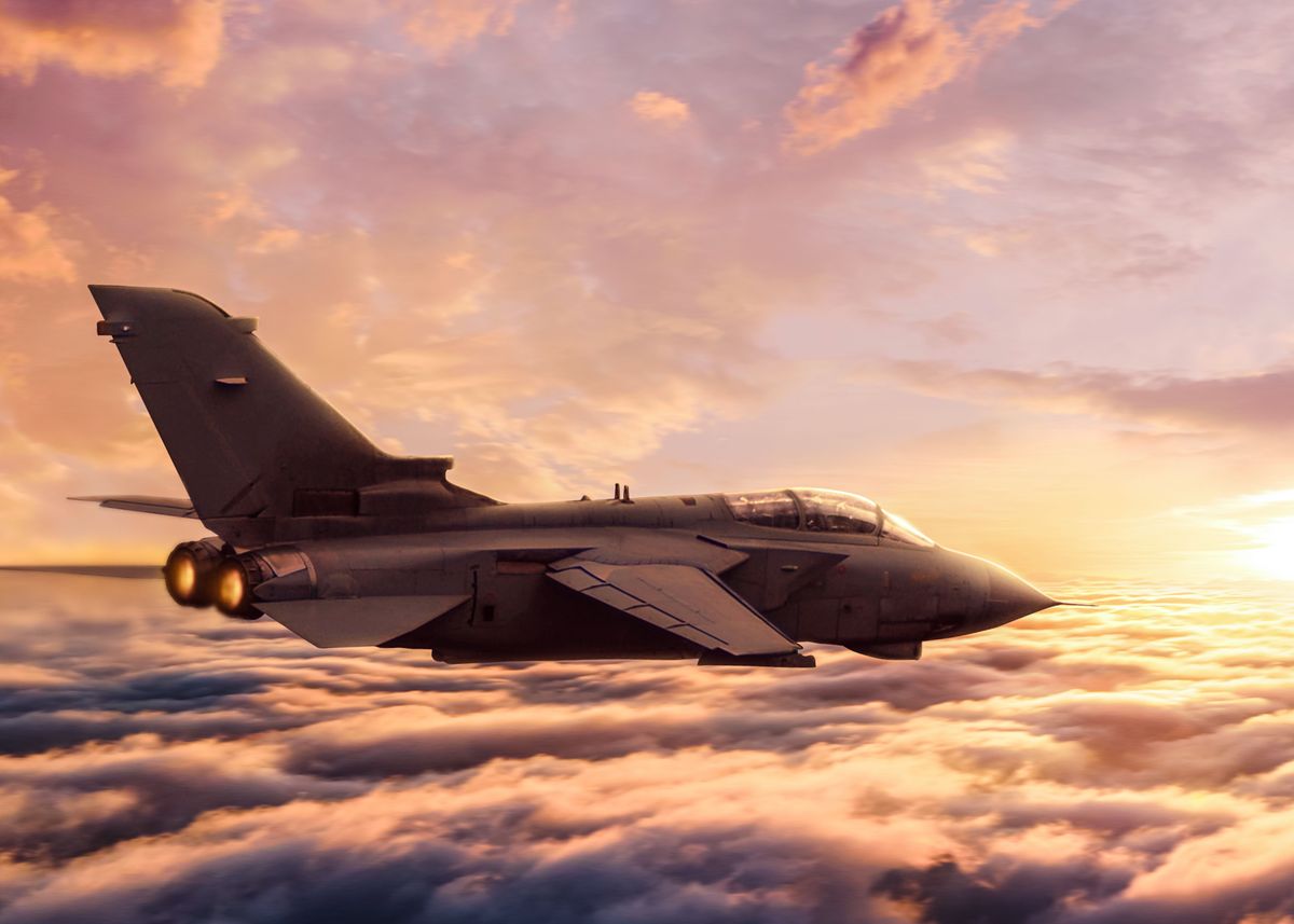 'Sunset Flight' Poster, picture, metal print, paint by Ozan Psd | Displate