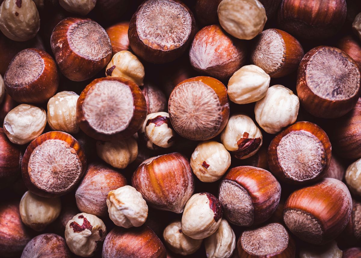 'Hazelnuts' Poster, picture, metal print, paint by Malwina Lewinska ...