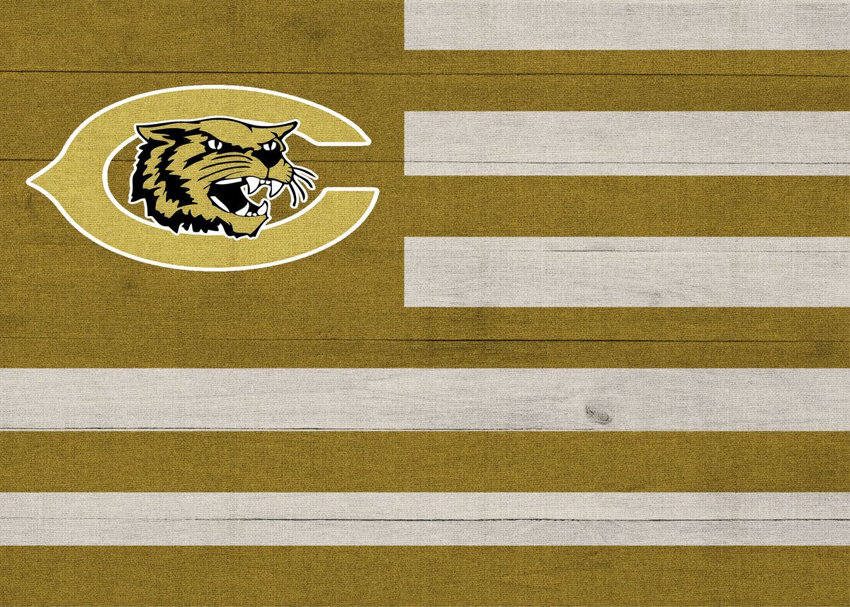 'Canadian Wildcats Flag' Poster, picture, metal print, paint by Jamie ...
