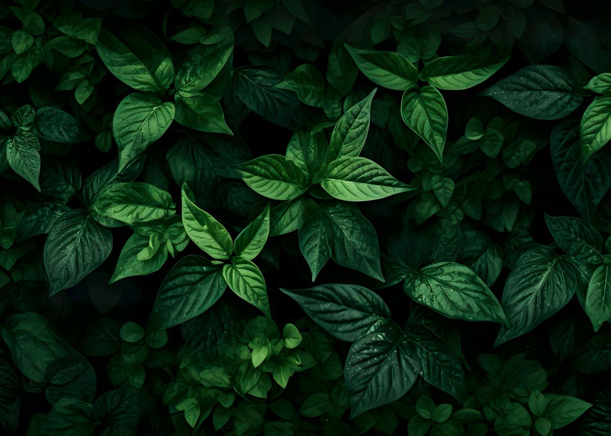 'Green Leat' Poster, picture, metal print, paint by Desira art | Displate